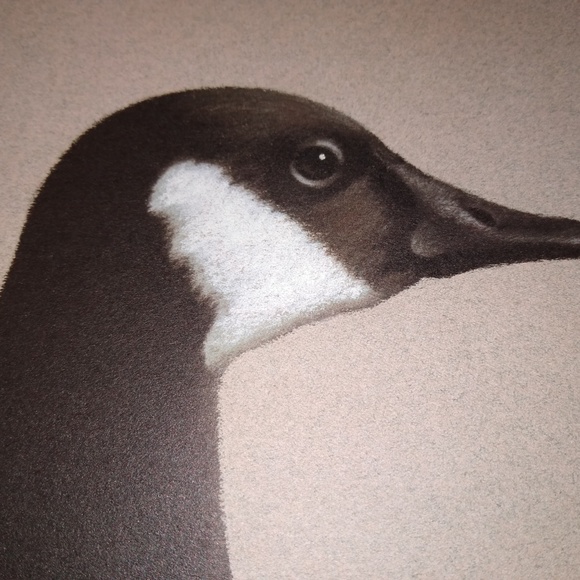 Harold Rigsby | Wall Decor | Canadian Goose By Harold Rigsby 72975 ...